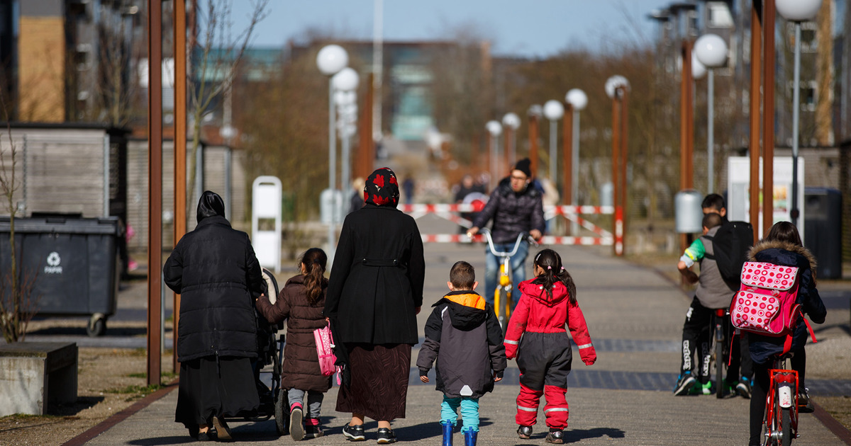 Indvandrere i både Danmark og Sverige er fattigere end majoritetsbefol ...